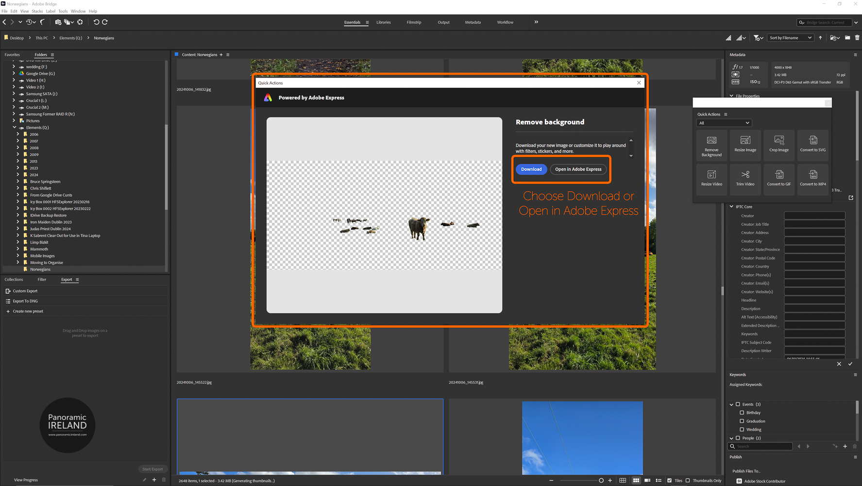 A First Look at Adobe Bridge 2025 - Quick Actions - Remove Background ...